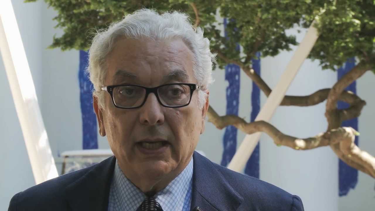 La storia di Paolo Baratta, dalle istituzioni all'azienda vinicola. Di ...