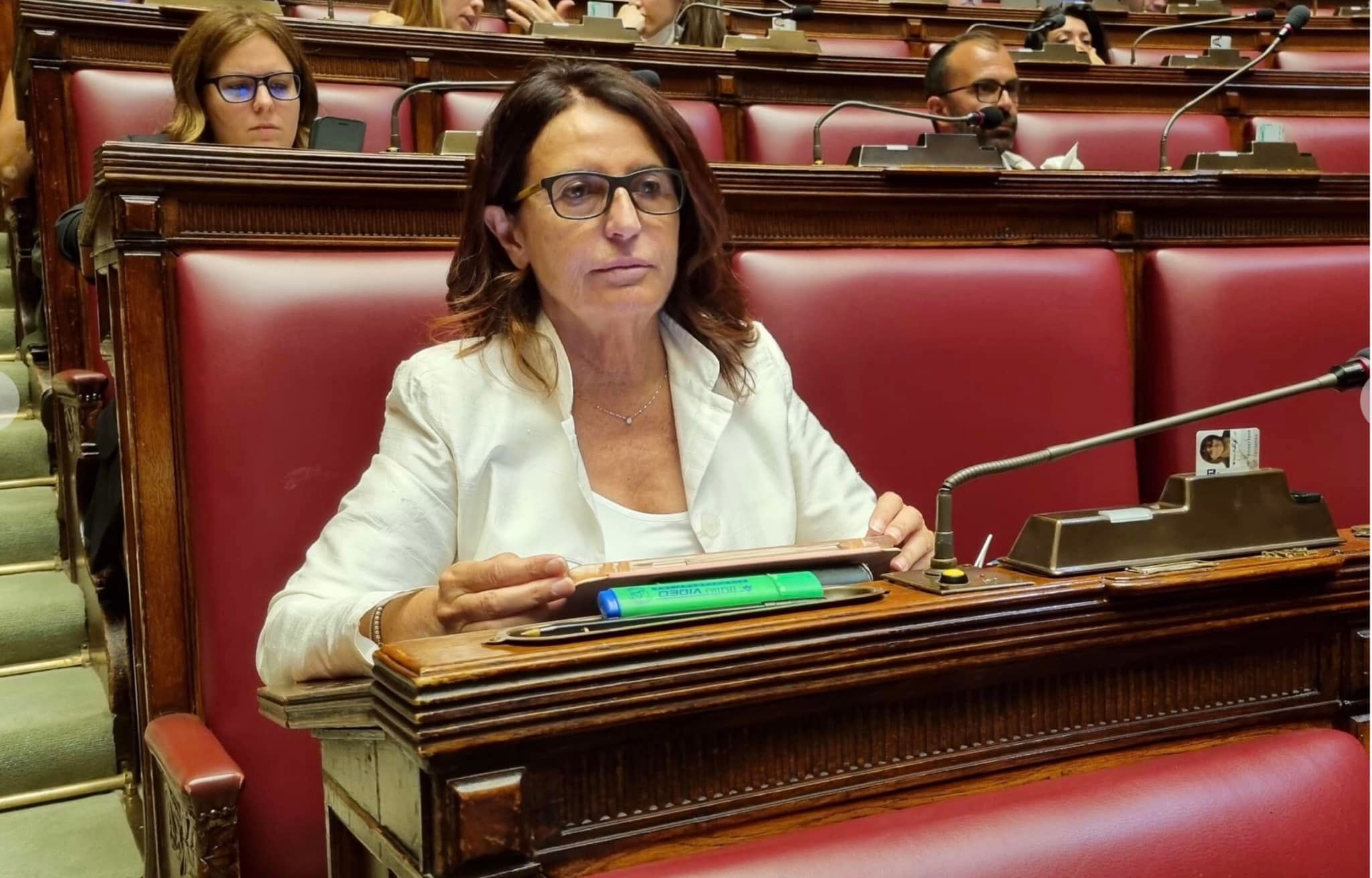 Daniela Ruffino (Azione): «Se vinciamo, avanti con Draghi»