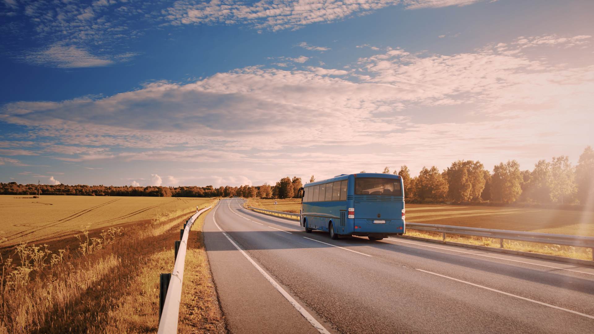 Autobus: pilastro sicuro del trasporto passeggeri - The Watcher Post